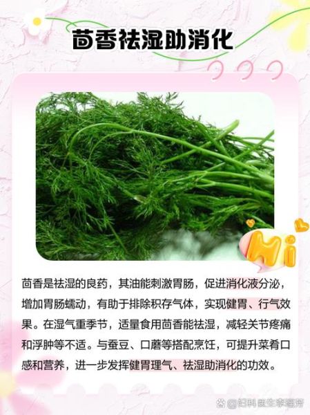茴香菜的功效与作用_孕妇能吃吗-第3张图片-山城妙识 茴香菜的功效与作用_孕妇能吃吗-第3张图片-山城妙识