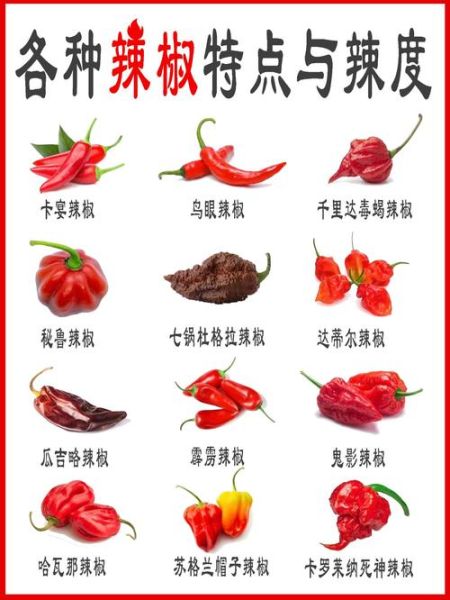 辣椒种类大全_哪种辣椒最辣-第1张图片-山城妙识