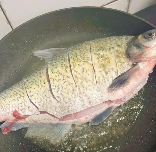 红烧扁鱼怎么做才好吃_红烧扁鱼的家常做法-第1张图片-山城妙识