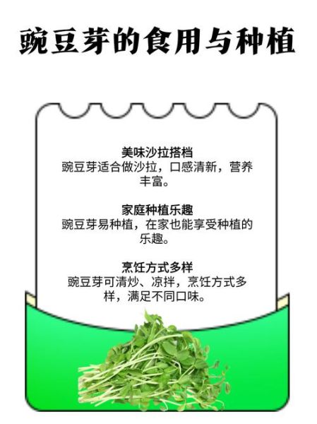 豌豆芽软件怎么用_豌豆芽软件收费吗-第2张图片-山城妙识 豌豆芽软件怎么用_豌豆芽软件收费吗-第2张图片-山城妙识