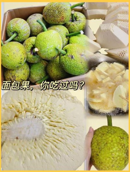 面包树果实好吃吗_面包果怎么吃-第1张图片-山城妙识 面包树果实好吃吗_面包果怎么吃-第1张图片-山城妙识