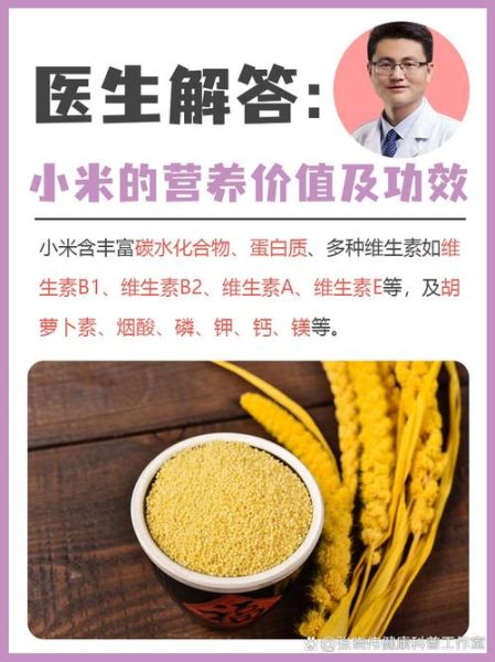 小米的营养价值与功效_小米的作用有哪些-第2张图片-山城妙识