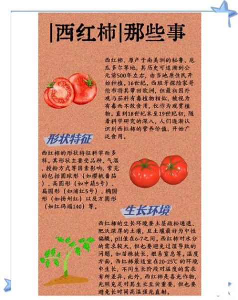 西红柿的营养价值及功效作用_生吃还是熟吃更好-第2张图片-山城妙识 西红柿的营养价值及功效作用_生吃还是熟吃更好-第2张图片-山城妙识