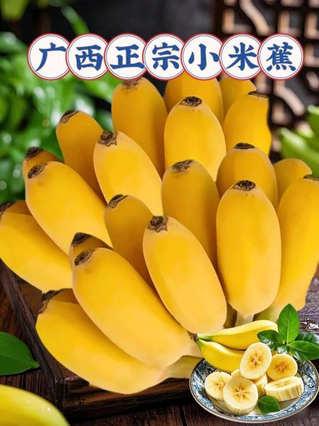 小米蕉的功效与作用_小米蕉怎么吃最营养-第2张图片-山城妙识 小米蕉的功效与作用_小米蕉怎么吃最营养-第2张图片-山城妙识