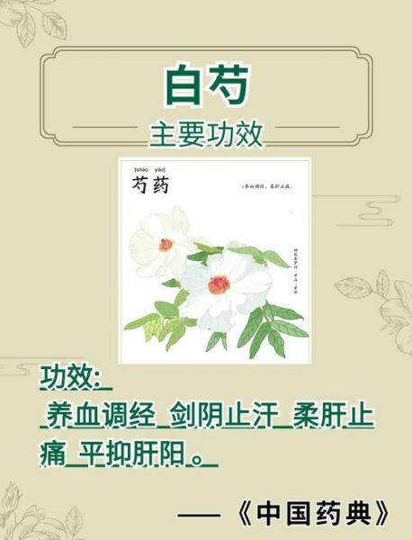 芍药的功效与作用_芍药怎么吃效果最好-第1张图片-山城妙识 芍药的功效与作用_芍药怎么吃效果最好-第1张图片-山城妙识