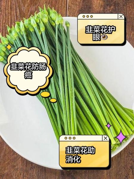 韭菜花什么人不能吃_韭菜花禁忌有哪些-第3张图片-山城妙识 韭菜花什么人不能吃_韭菜花禁忌有哪些-第3张图片-山城妙识