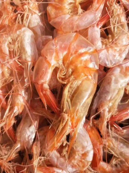 虾干怎么晒_虾干晒多久才能干透-第1张图片-山城妙识 虾干怎么晒_虾干晒多久才能干透-第1张图片-山城妙识