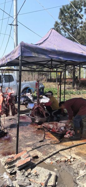 驴肉价格多少一斤2021_2021年驴肉多少钱一斤-第3张图片-山城妙识 驴肉价格多少一斤2021_2021年驴肉多少钱一斤-第3张图片-山城妙识