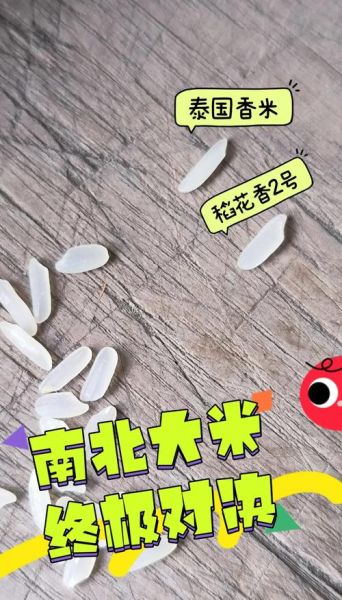 香米和大米的区别_香米为什么比大米贵-第1张图片-山城妙识 香米和大米的区别_香米为什么比大米贵-第1张图片-山城妙识