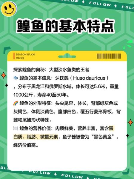 鲟鱼和鳇鱼的区别图_如何一眼分辨-第1张图片-山城妙识