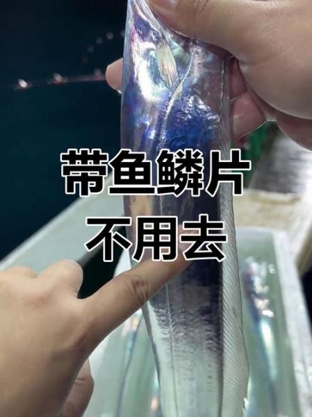 新鲜带鱼怎么处理_带鱼去腥技巧-第1张图片-山城妙识 新鲜带鱼怎么处理_带鱼去腥技巧-第1张图片-山城妙识