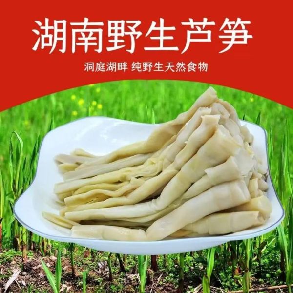 沅江芦笋怎么挑选_沅江芦笋图片哪里看-第2张图片-山城妙识