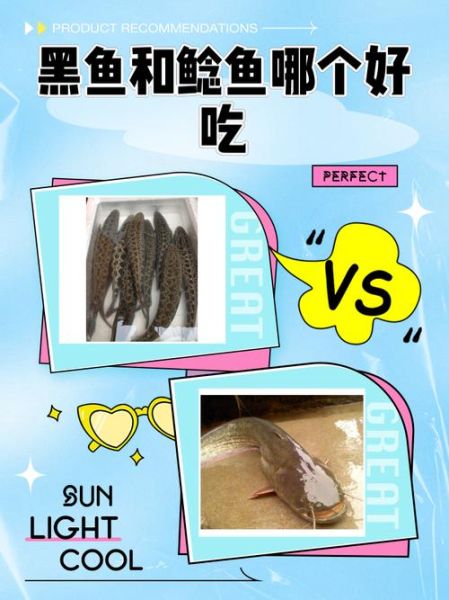 黑鱼和鲶鱼的区别_哪个更好吃-第1张图片-山城妙识
