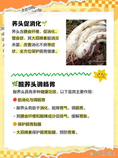 荞头有什么功效与作用_荞头哪些人不能吃-第1张图片-山城妙识