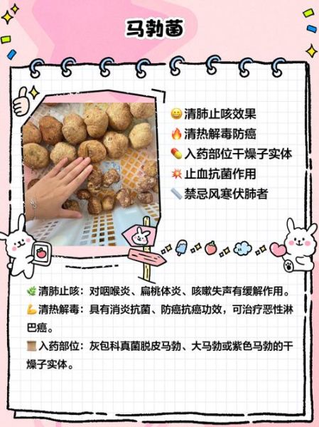 马勃怎么吃_马勃的吃法大全-第3张图片-山城妙识
