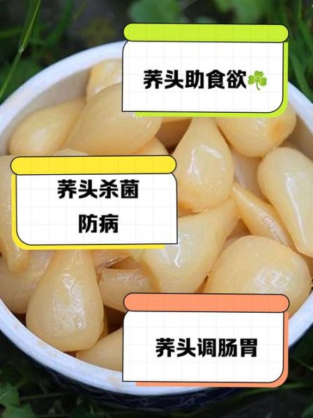 荞头有什么功效与作用_荞头哪些人不能吃-第3张图片-山城妙识