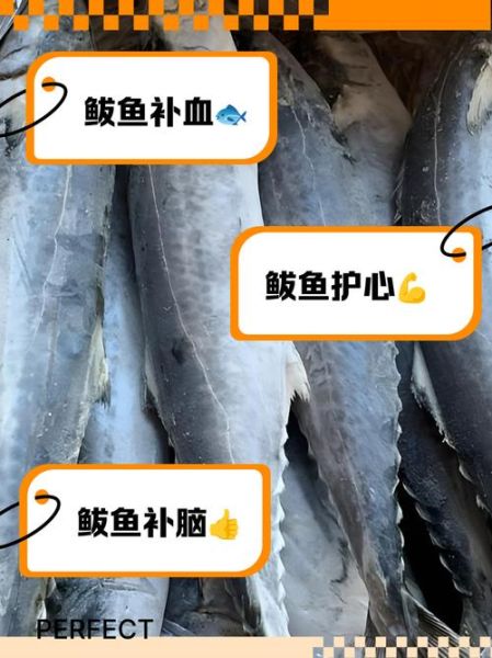 鲅鱼的营养价值及功效与禁忌_什么人不能吃鲅鱼-第2张图片-山城妙识