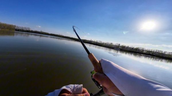 黄剑鱼又叫什么鱼_黄剑鱼学名是什么-第2张图片-山城妙识 黄剑鱼又叫什么鱼_黄剑鱼学名是什么-第2张图片-山城妙识