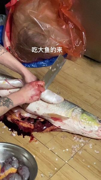 黄剑鱼又叫什么鱼_黄剑鱼学名是什么-第3张图片-山城妙识 黄剑鱼又叫什么鱼_黄剑鱼学名是什么-第3张图片-山城妙识