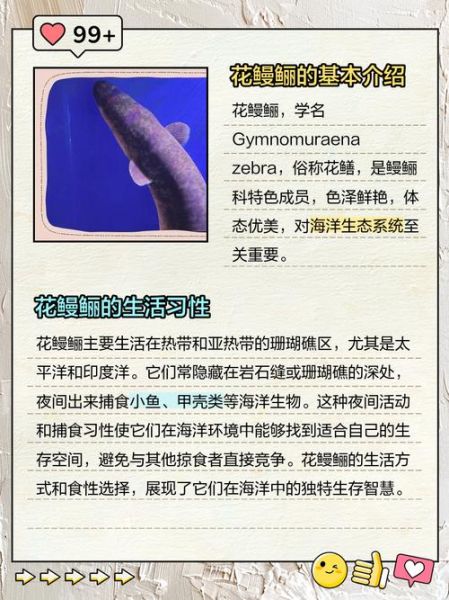 花鳗鲡鱼图片_如何辨别真假-第1张图片-山城妙识 花鳗鲡鱼图片_如何辨别真假-第1张图片-山城妙识