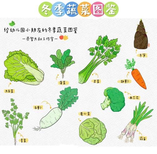 蔬菜图片大全卡通_如何教孩子认识蔬菜-第1张图片-山城妙识 蔬菜图片大全卡通_如何教孩子认识蔬菜-第1张图片-山城妙识