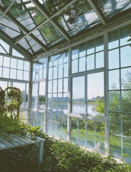 蕃薯藤tina庄园门票价格_蕃薯藤tina庄园怎么玩-第3张图片-山城妙识 蕃薯藤tina庄园门票价格_蕃薯藤tina庄园怎么玩-第3张图片-山城妙识