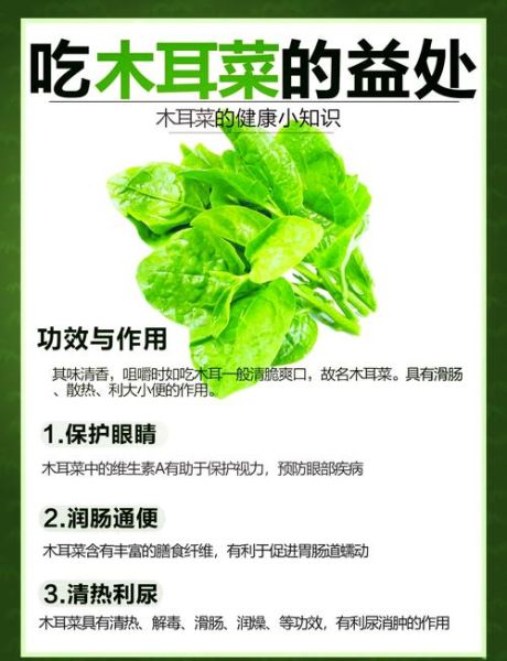 木耳菜什么人不能吃_孕妇可以吃吗-第1张图片-山城妙识 木耳菜什么人不能吃_孕妇可以吃吗-第1张图片-山城妙识