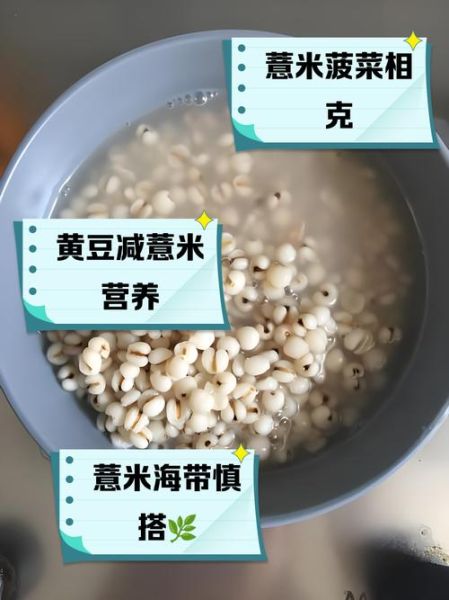 薏米不能和什么一起吃_吃薏米的禁忌有哪些-第2张图片-山城妙识