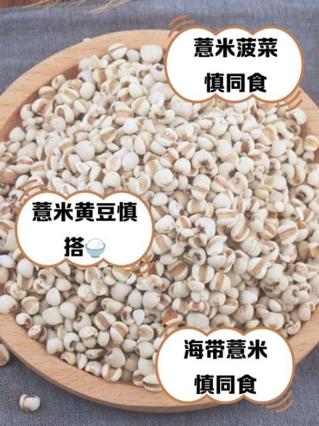 薏米不能和什么一起吃_吃薏米的禁忌有哪些-第3张图片-山城妙识