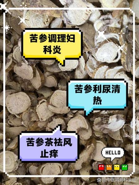 苦参的功效与作用及食用方法_苦参怎么泡水喝-第1张图片-山城妙识 苦参的功效与作用及食用方法_苦参怎么泡水喝-第1张图片-山城妙识