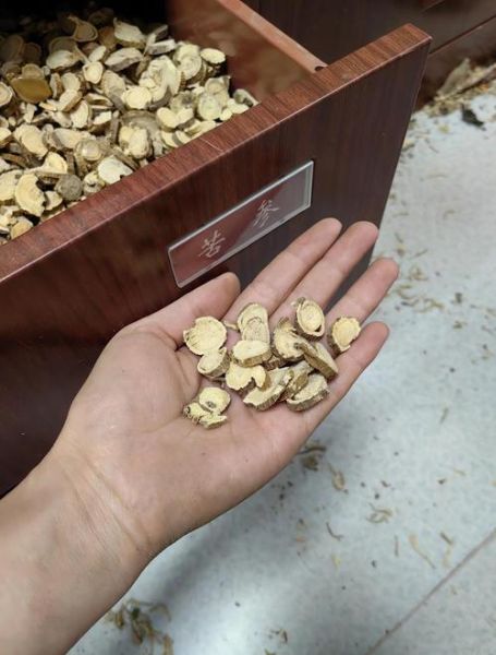 苦参的功效与作用及食用方法_苦参怎么泡水喝-第3张图片-山城妙识 苦参的功效与作用及食用方法_苦参怎么泡水喝-第3张图片-山城妙识