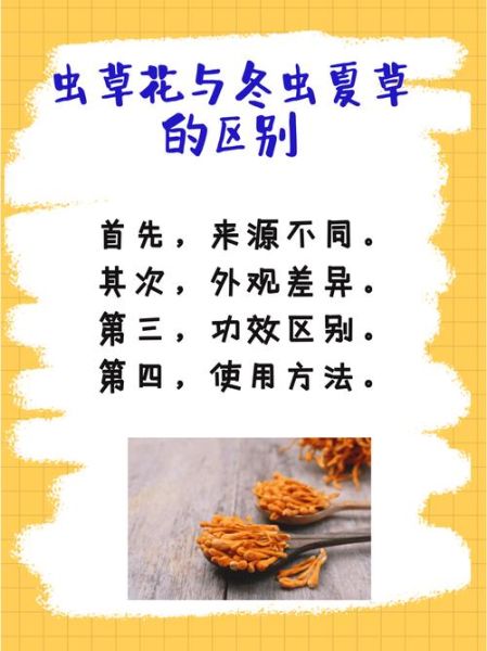 蛹虫草和冬虫夏草的区别_哪个更好-第3张图片-山城妙识