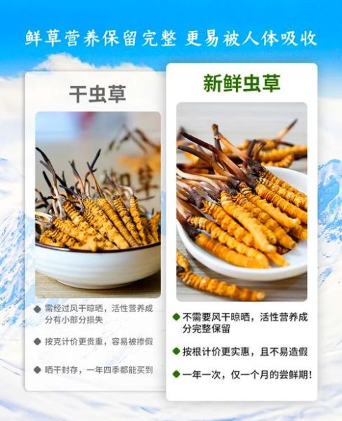蛹虫草和冬虫夏草的区别_哪个更好-第2张图片-山城妙识