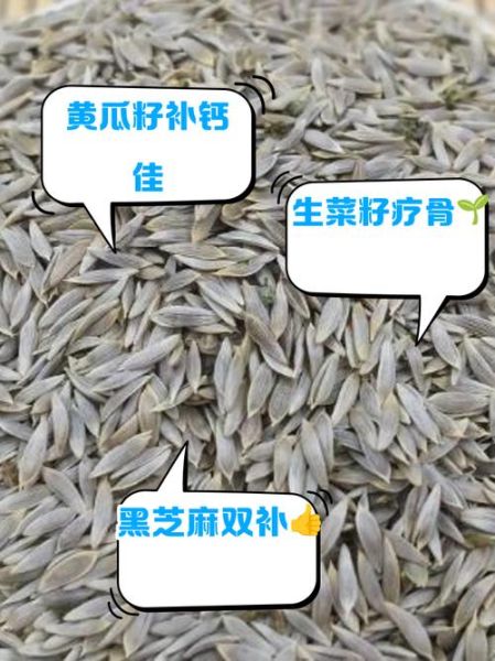 生菜籽的功效与作用_生菜籽怎么吃效果最好-第2张图片-山城妙识