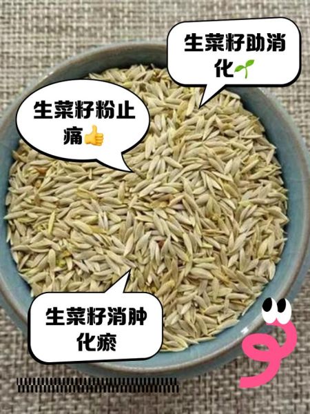 生菜籽的功效与作用_生菜籽怎么吃效果最好-第1张图片-山城妙识