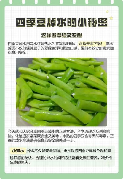 烧四季豆怎么做_四季豆焯水几分钟-第3张图片-山城妙识 烧四季豆怎么做_四季豆焯水几分钟-第3张图片-山城妙识