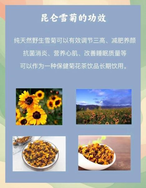 昆仑雪菊一次泡几朵_昆仑雪菊冲泡用量-第2张图片-山城妙识 昆仑雪菊一次泡几朵_昆仑雪菊冲泡用量-第2张图片-山城妙识