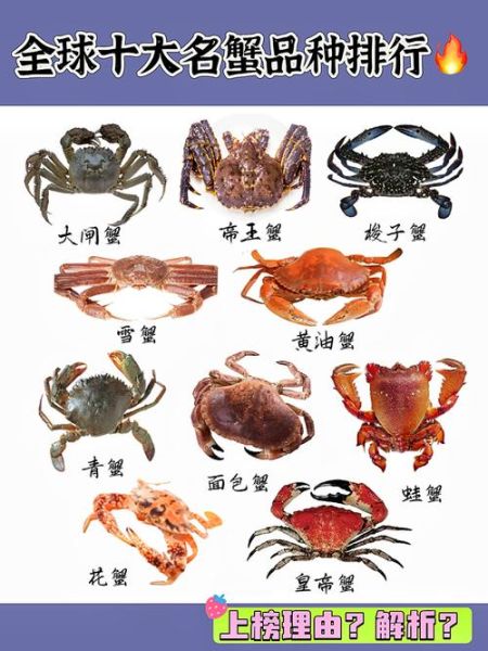 螃蟹品种大全图及名字_常见食用蟹有哪些-第2张图片-山城妙识 螃蟹品种大全图及名字_常见食用蟹有哪些-第2张图片-山城妙识