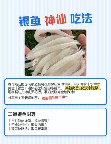 银鱼怎么吃最有营养_银鱼适合宝宝吃吗-第1张图片-山城妙识 银鱼怎么吃最有营养_银鱼适合宝宝吃吗-第1张图片-山城妙识