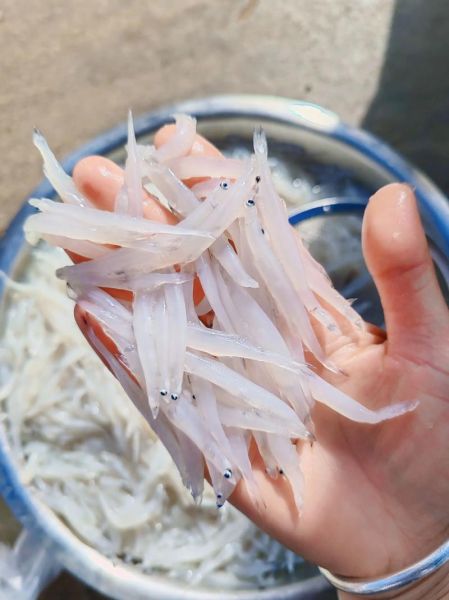 银鱼怎么吃最有营养_银鱼适合宝宝吃吗-第3张图片-山城妙识 银鱼怎么吃最有营养_银鱼适合宝宝吃吗-第3张图片-山城妙识