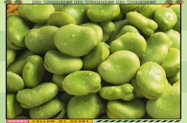 蚕豆病每年死亡多少人_蚕豆病致死率有多高-第2张图片-山城妙识