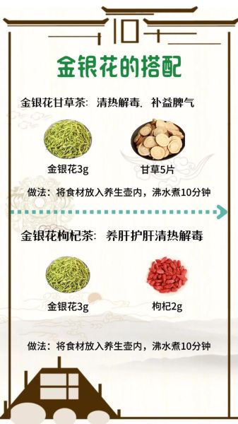 金银花茶泡水喝的功效与作用_金银花茶怎么喝才不上火-第1张图片-山城妙识 金银花茶泡水喝的功效与作用_金银花茶怎么喝才不上火-第1张图片-山城妙识