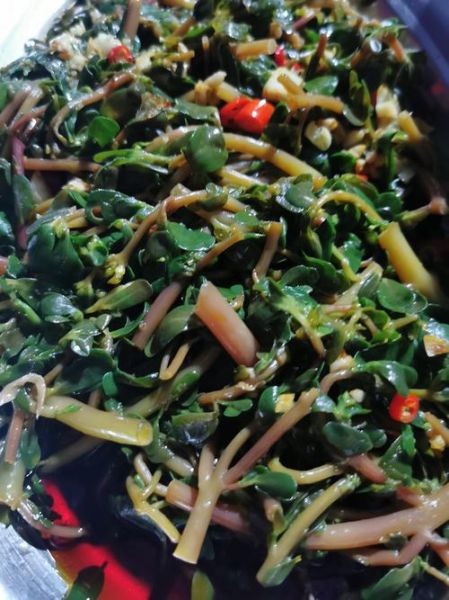 马齿苋怎么做好吃_马齿苋的做法大全家常-第1张图片-山城妙识 马齿苋怎么做好吃_马齿苋的做法大全家常-第1张图片-山城妙识