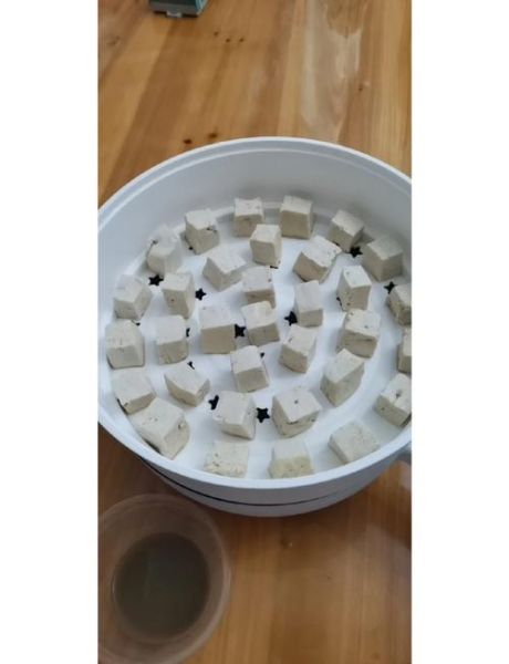腐豆腐的制作方法_家庭自制腐乳怎么做-第2张图片-山城妙识 腐豆腐的制作方法_家庭自制腐乳怎么做-第2张图片-山城妙识
