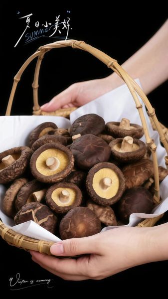 香菇产地哪里最出名_如何挑选优质干香菇-第2张图片-山城妙识