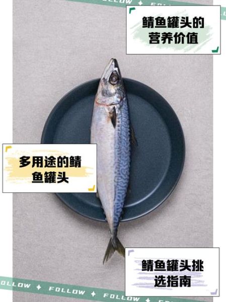 鲭鱼的营养价值_鲭鱼的功效与作用-第3张图片-山城妙识