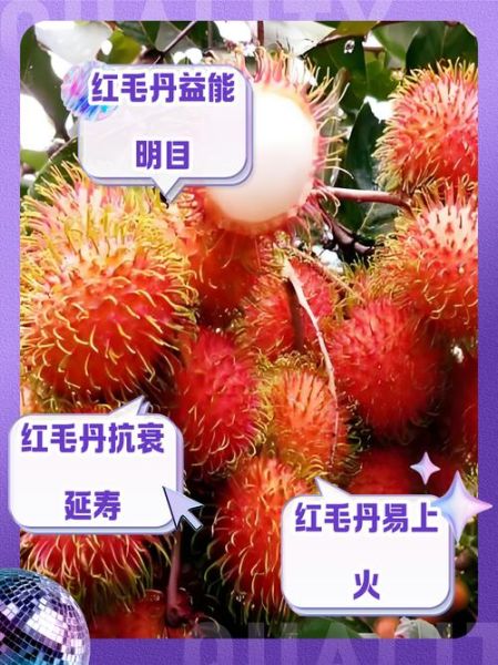 红毛丹什么人不能吃_吃红毛丹的禁忌有哪些-第1张图片-山城妙识 红毛丹什么人不能吃_吃红毛丹的禁忌有哪些-第1张图片-山城妙识