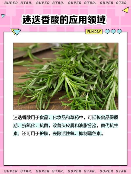 迷迭香酸的功效与作用_迷迭香酸能长期服用吗-第2张图片-山城妙识 迷迭香酸的功效与作用_迷迭香酸能长期服用吗-第2张图片-山城妙识