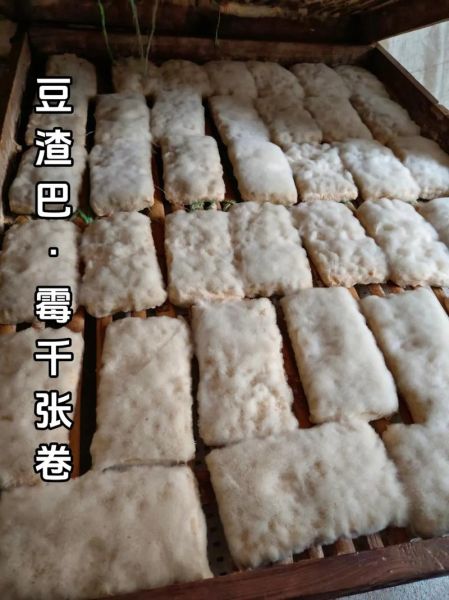 豆渣怎么做好吃_豆渣的做法大全家常视频-第3张图片-山城妙识