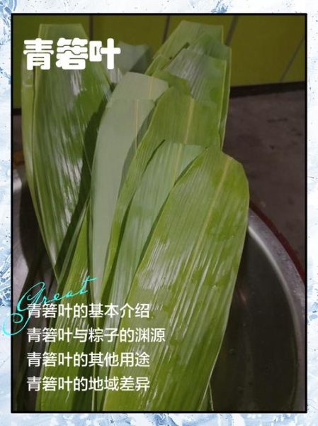 箬叶的功效与作用_箬叶怎么煮水最养胃-第1张图片-山城妙识